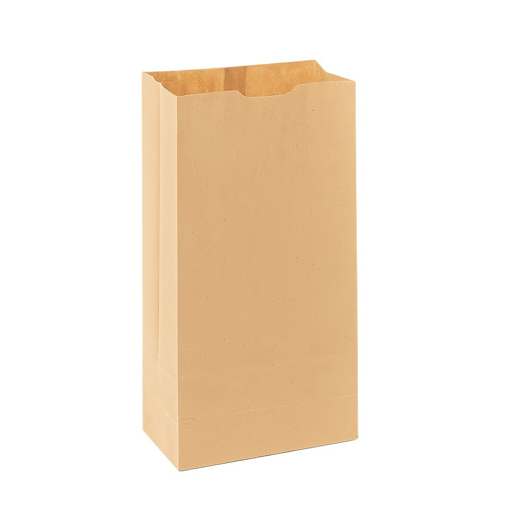 KRAFT PAPER BAG WITHOUT HANDLE SM #4 (500PCS) – KTK Masala Shop